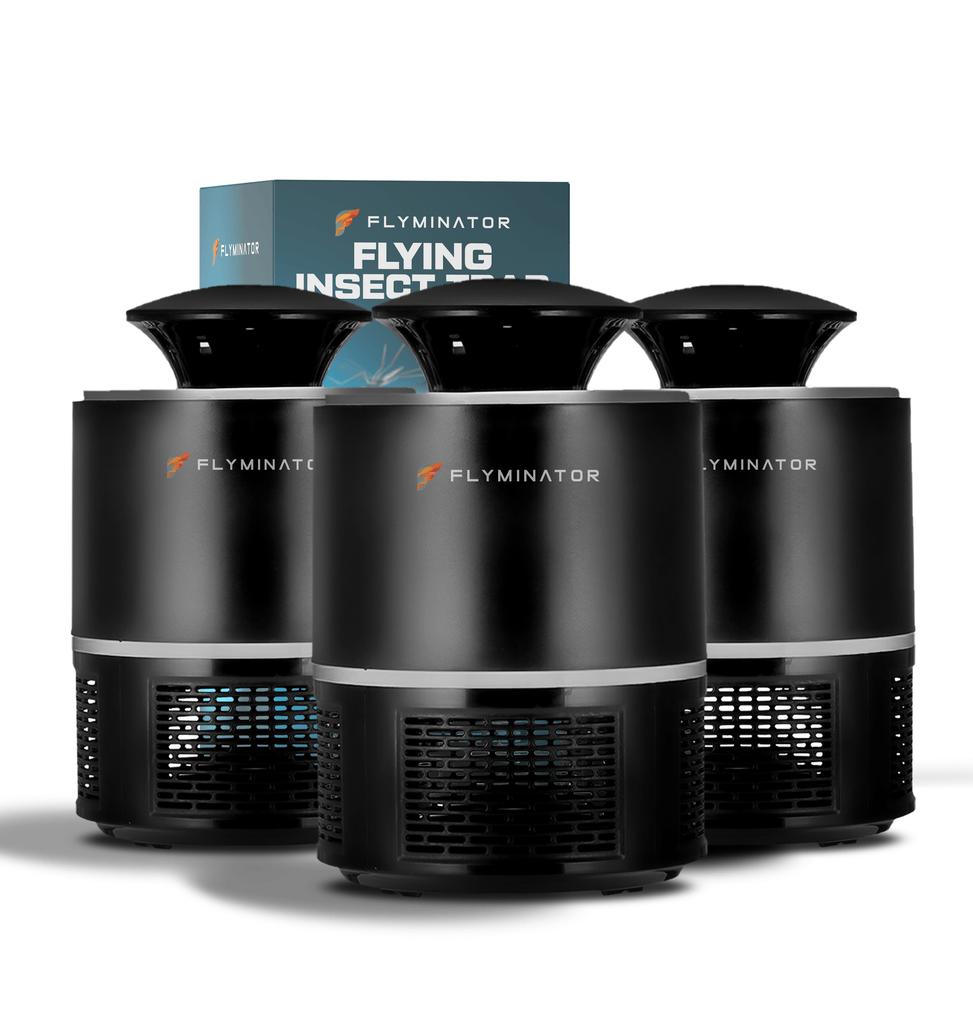 Flyminator - Fruit Fly Trap – flyminator