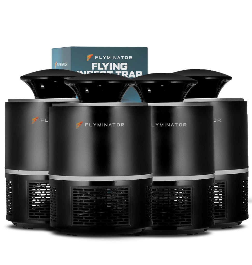 Flyminator - Fruit Fly Trap – flyminator